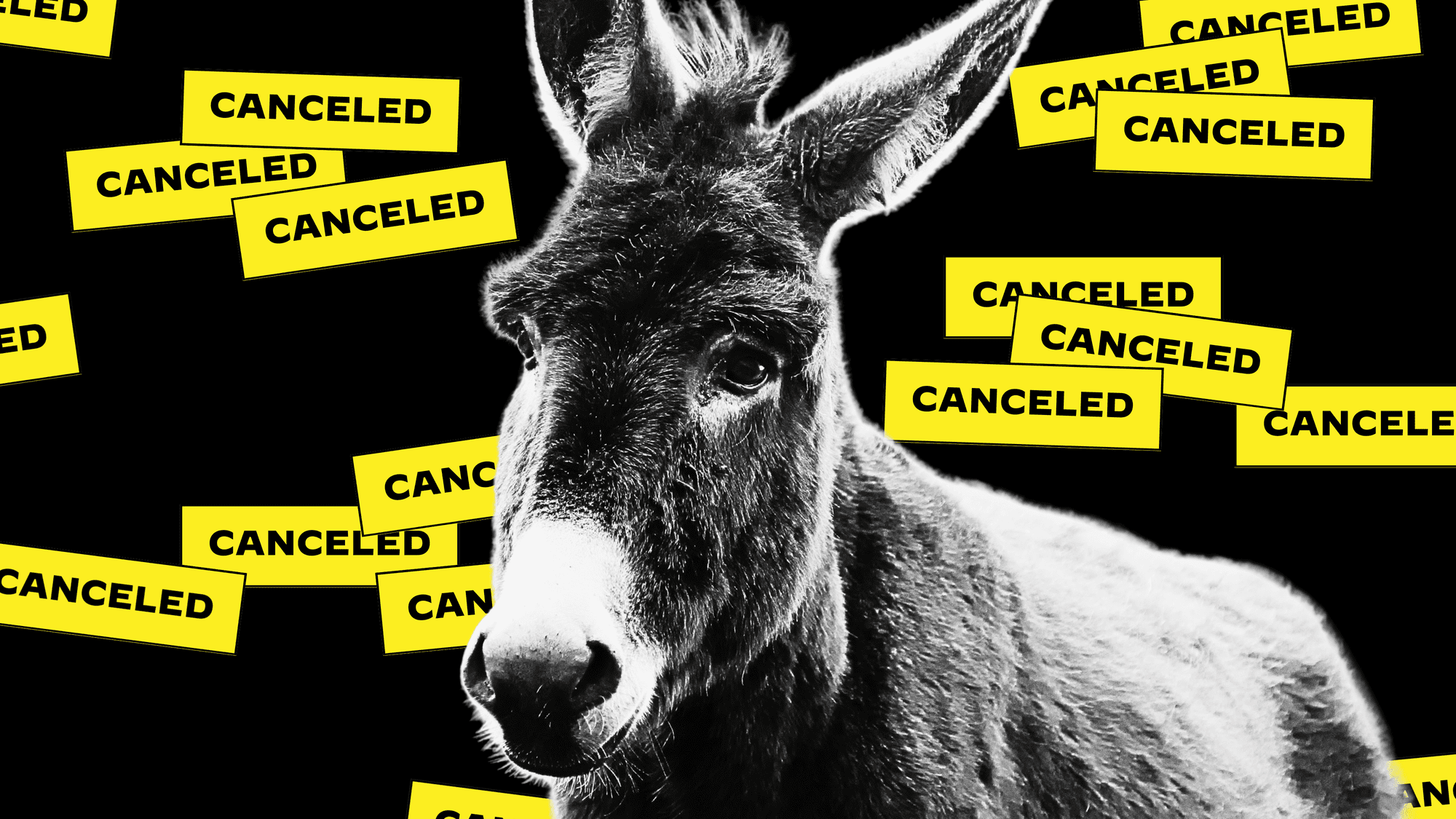 Malynda Hale: I’m Not Leaving Progressivism — But We Need to Have a Talk